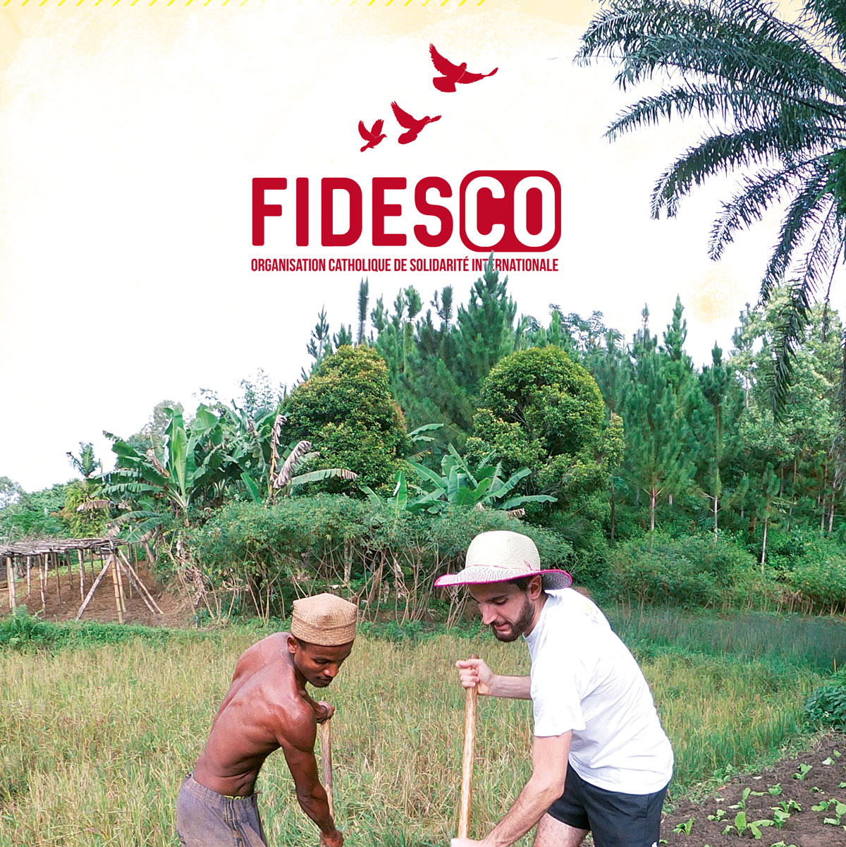 FIDESCO - Communication graphique - MAYEULE BYM